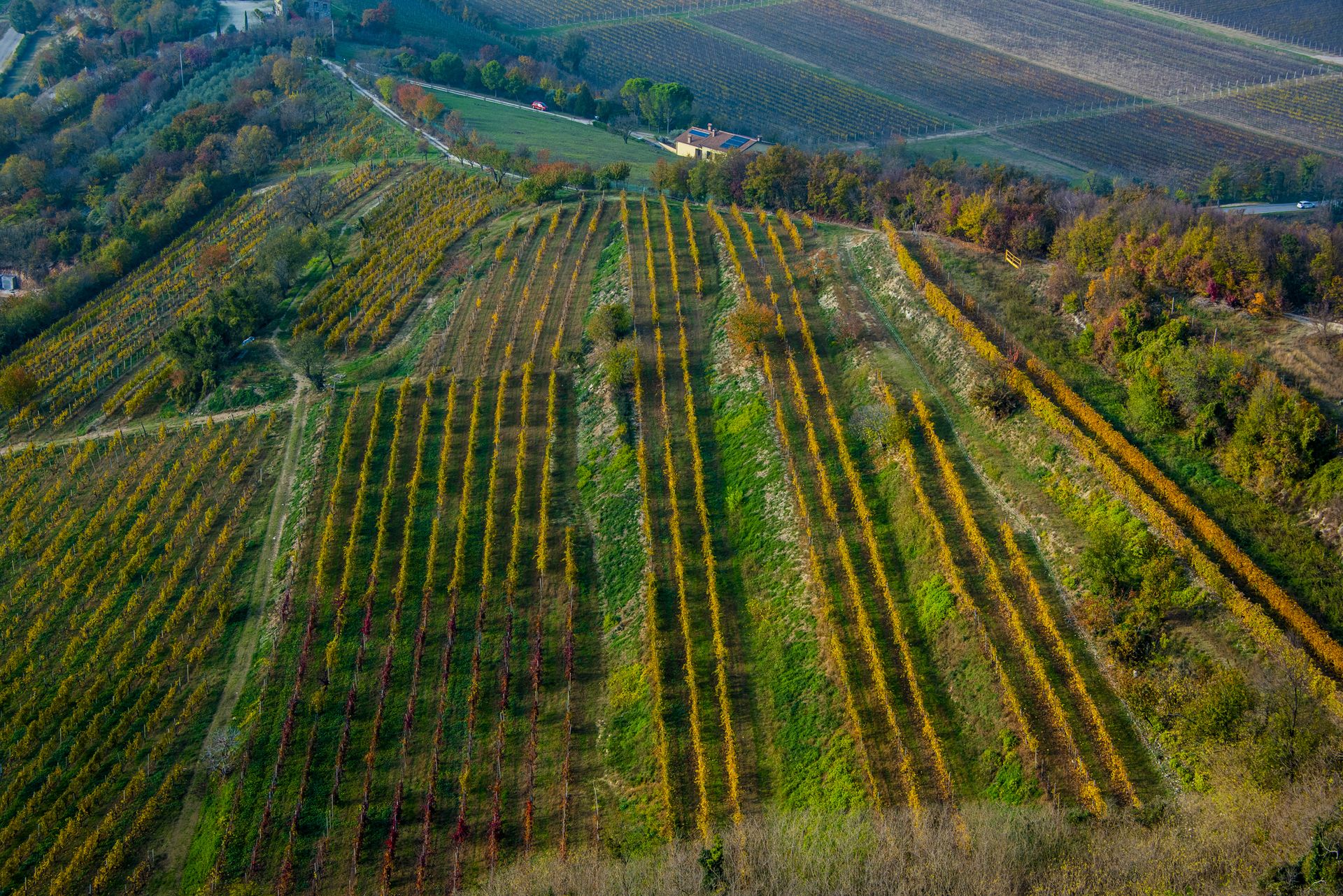 Join Smart Carbon Farming at the European Carbon Farming Summit 2026 ...